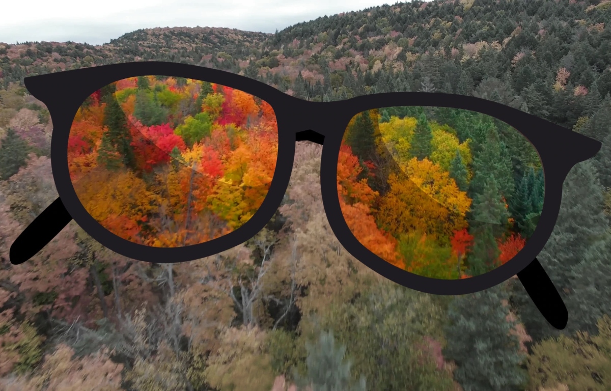 Color Blindness Causes Symptoms Treatment Method Color Blindness Causes Symptoms Treatment Method